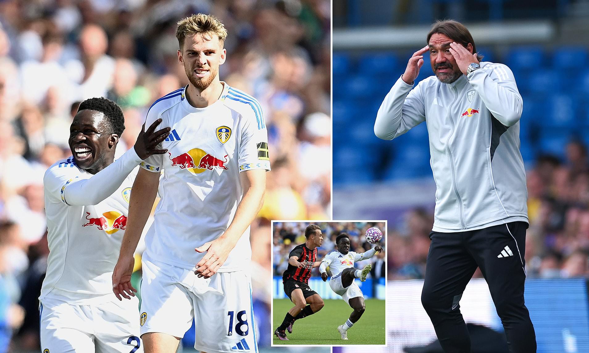 Daniel Farke right to be worried over one position: Things We Learned ...