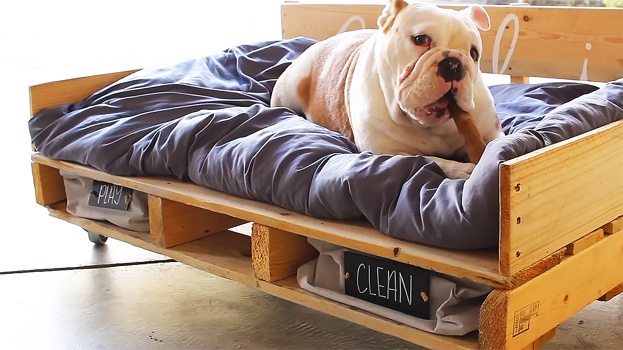 My DIY pallet dog bed project reveal!