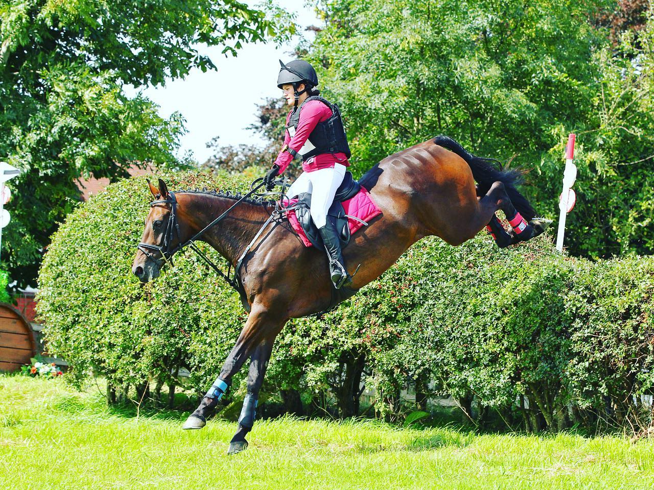 British horse rider Sarah Yorke, 37, dies after fall