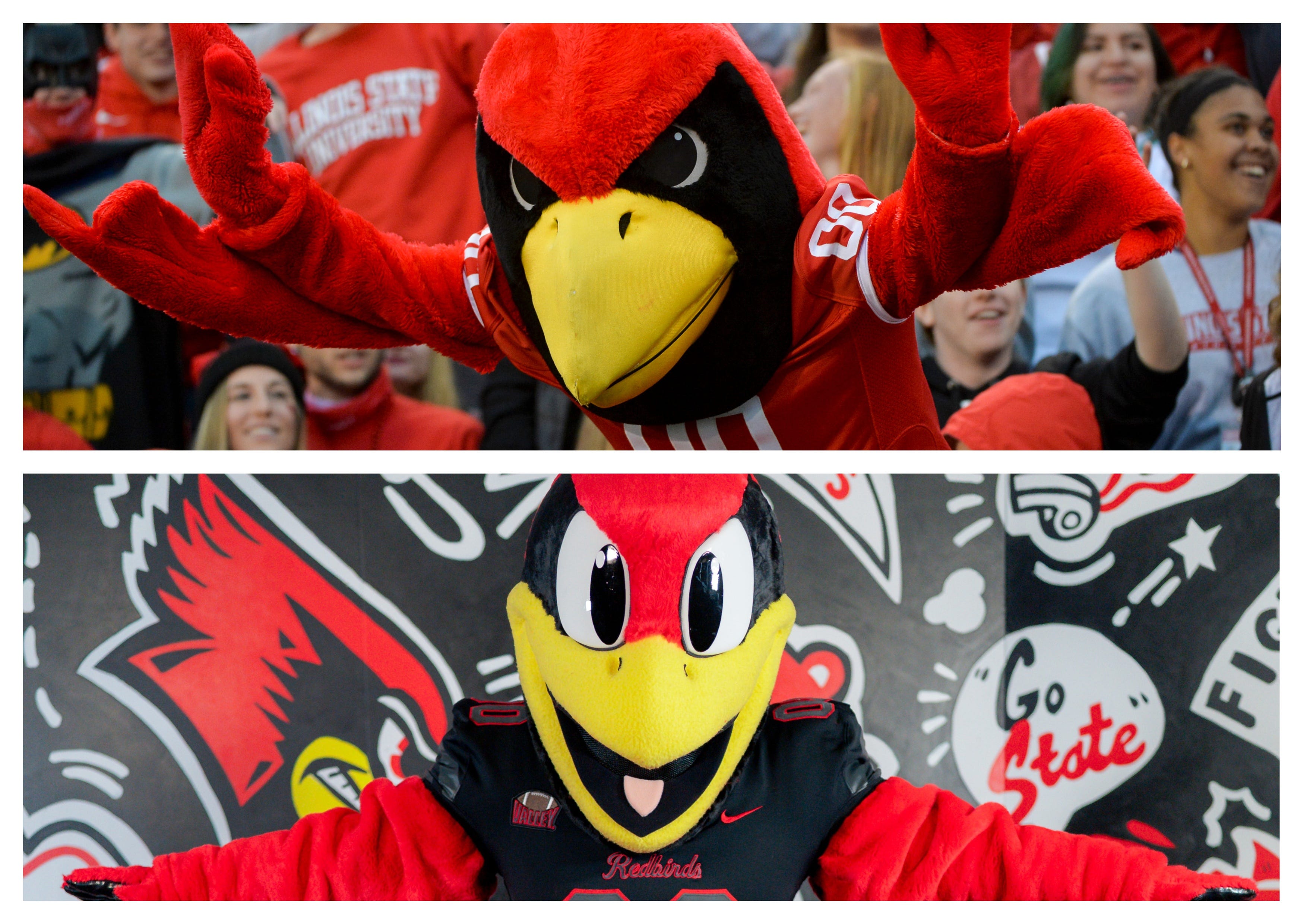 Illinois State mascot Reggie Redbird is getting a makeover. See the new ...