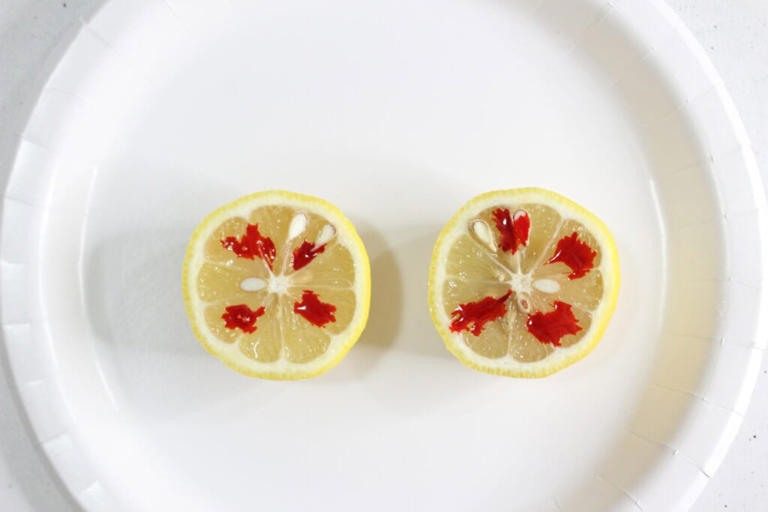 Fun Lemon Volcanoes Science Experiments For Kids: A Fizzy, Colorful Blast!