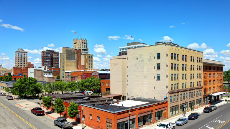 Michigan's Fun City Outside Detroit Has A Lively Local Art Scene, Craft ...