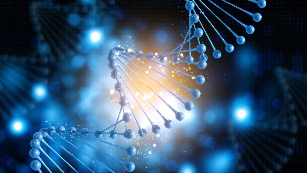 Cientistas editaram gene que pode reduzir colesterol alto permanentemente