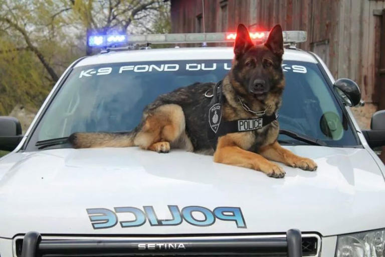 Fond du Lac PD announces passing of retired dual-purpose K9