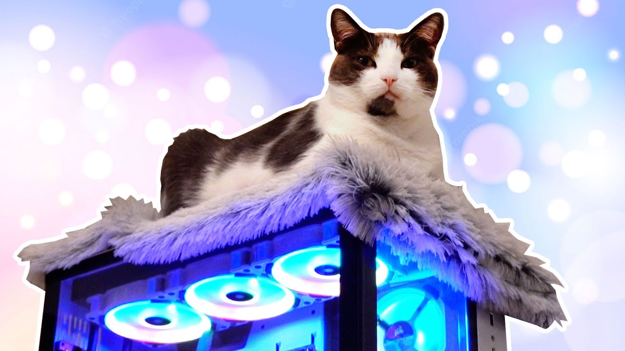 Building a purr-fect gaming rig for my cats