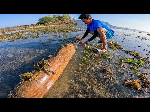 This Is Where Abalones Hide Underwater!