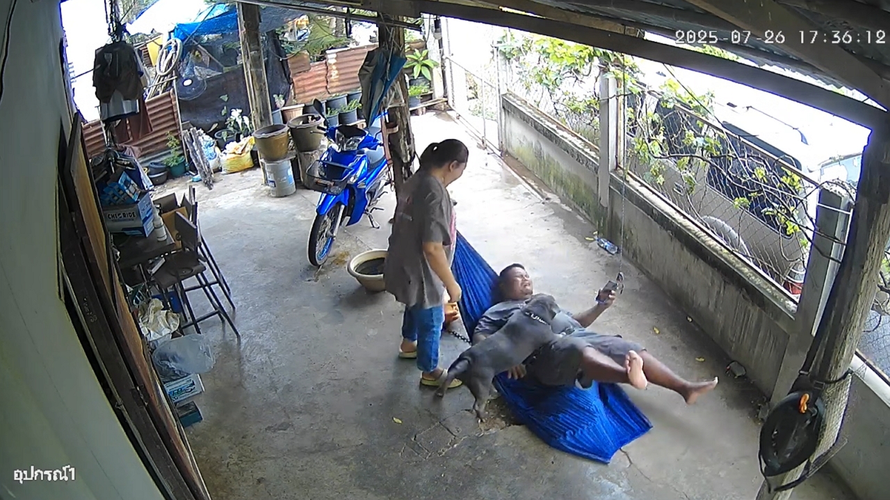 Playful dog triggers hammock collapse in Nong Ki, Buriram