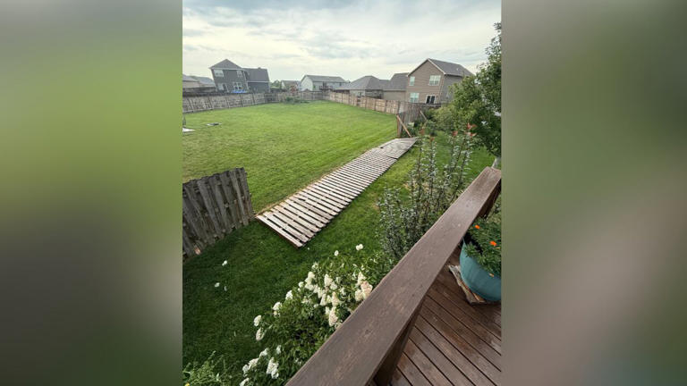 Dale Earnhardt's widow and oldest son clash over proposed data center ...