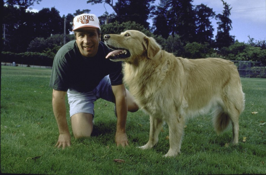 Your dog could be the next ‘Air Bud.’ Here’s how to apply