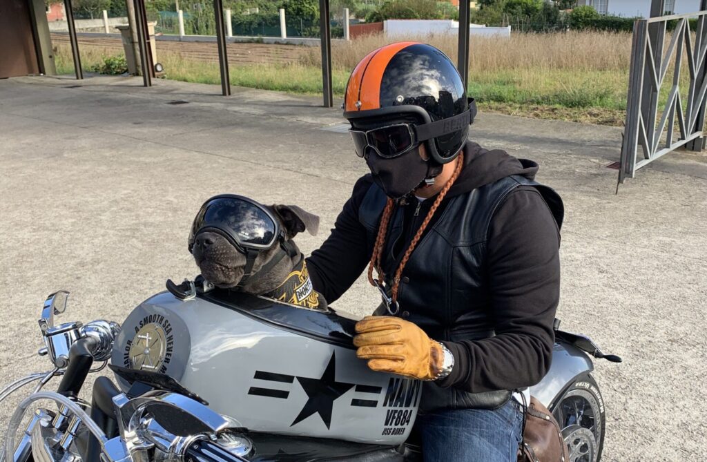 Pup rides with owner in his own custom-built motorcycle pod