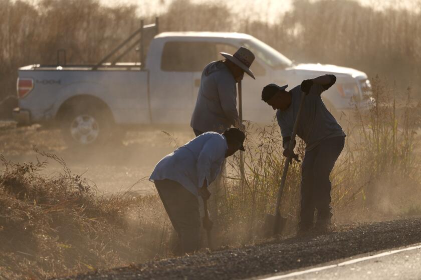 Farmworkers keep dying from heat illness, 20 years after California ...