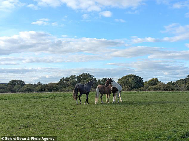 Tragedy at horse trials as British rider Sarah Yorke, 37, dies after ...