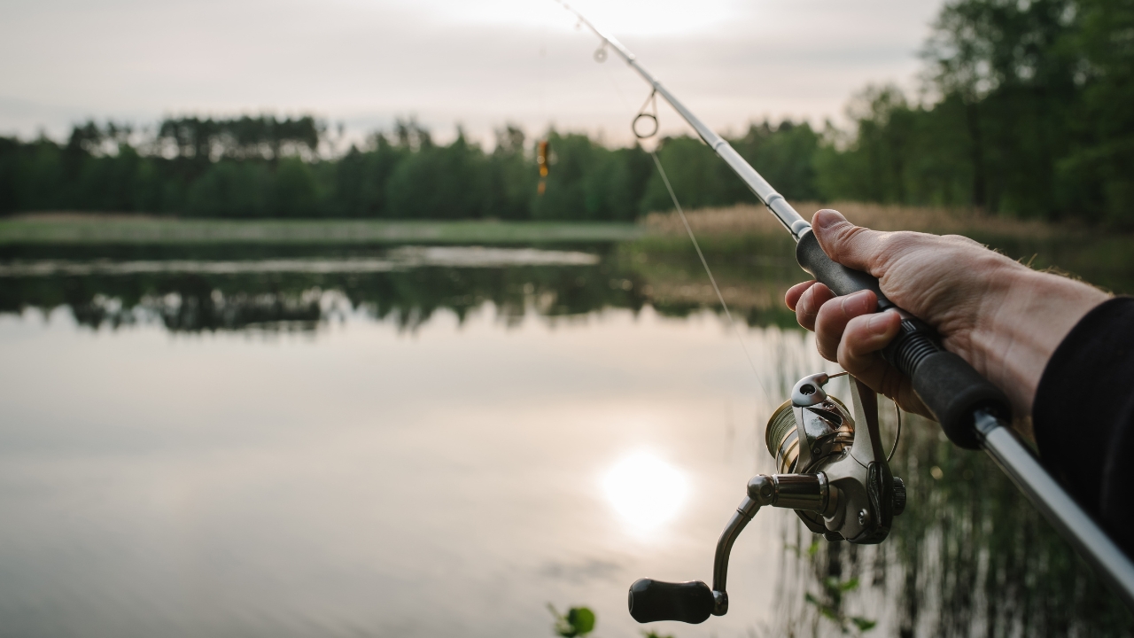Signs you’re reeling too fast for finicky fish