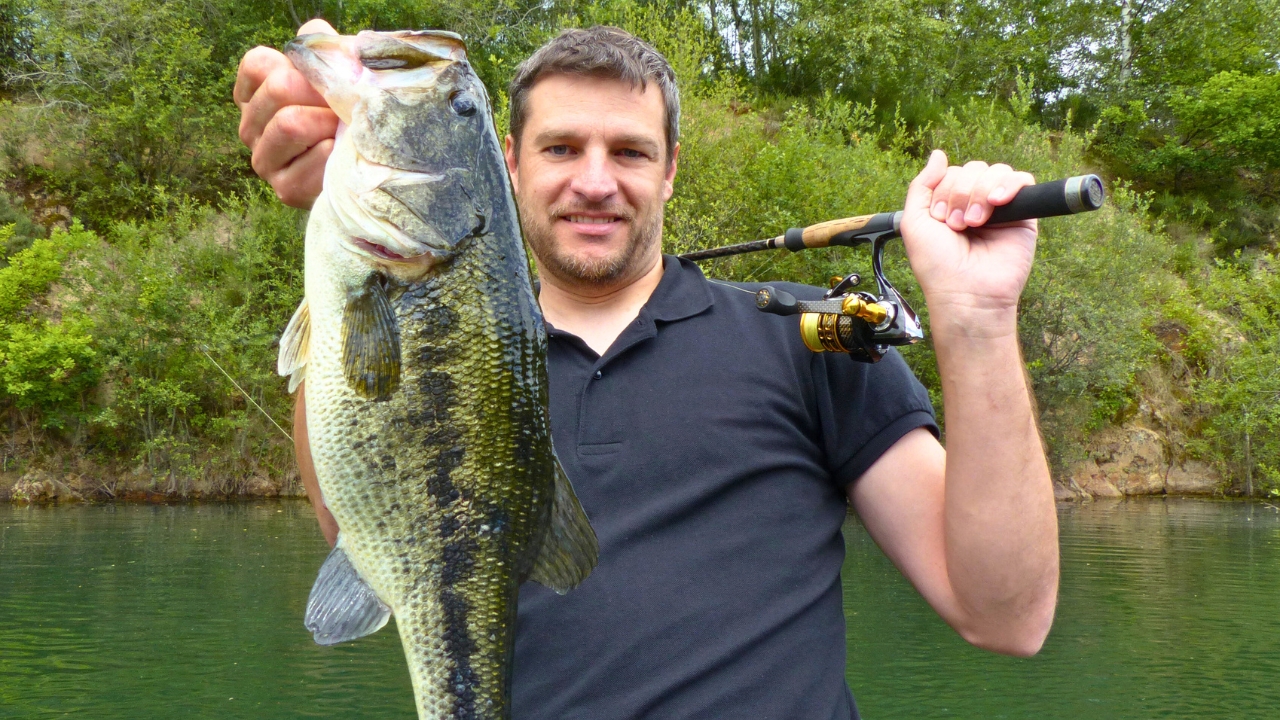 7 fall bass patterns that still catch monsters