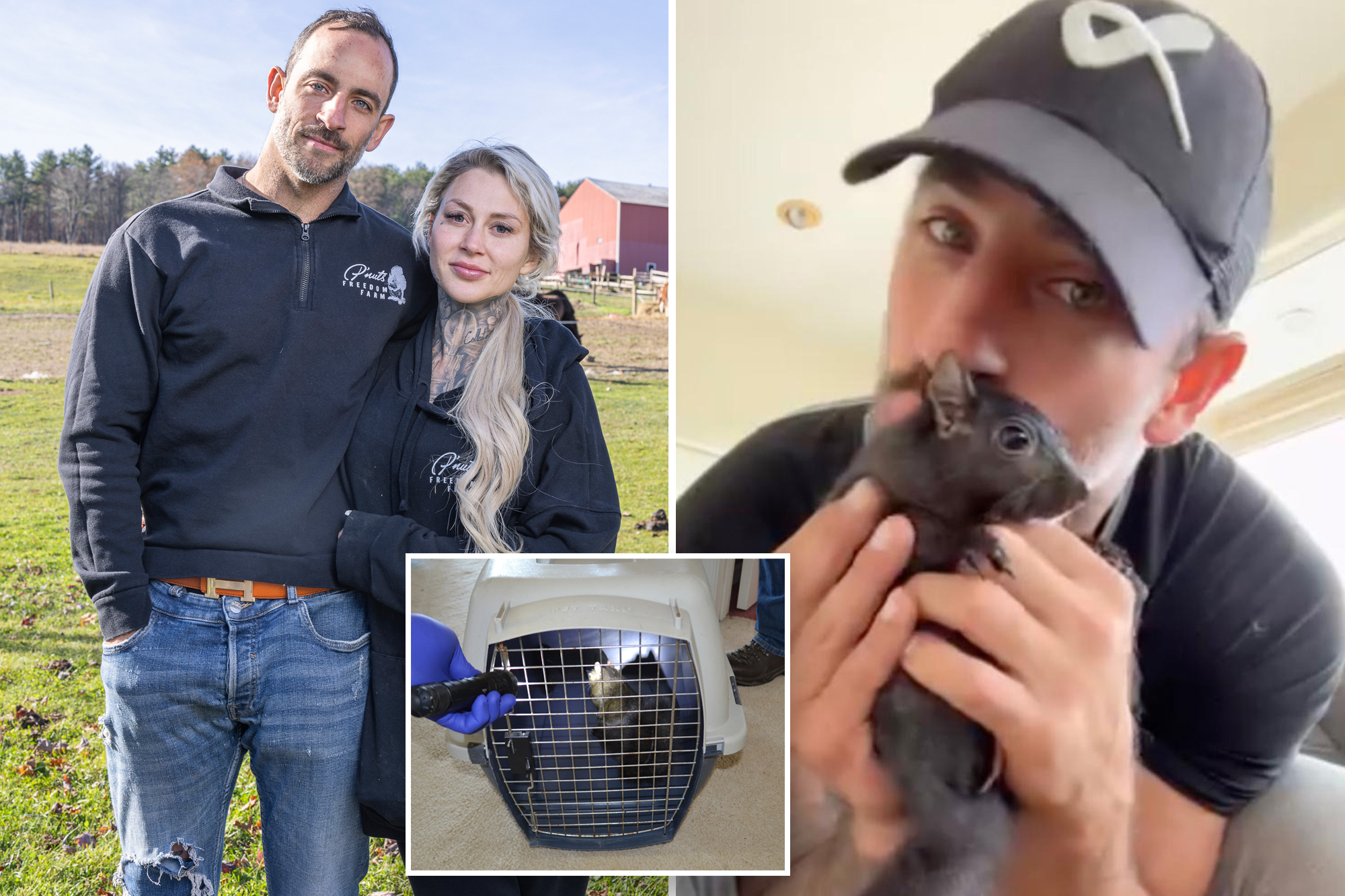 NY could owe P’Nut the Squirrel’s owners $10M for execution of world’s ...