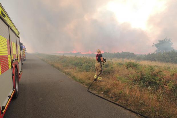 'Dog walk turned into a horror movie': Residents' shock at huge heath fire