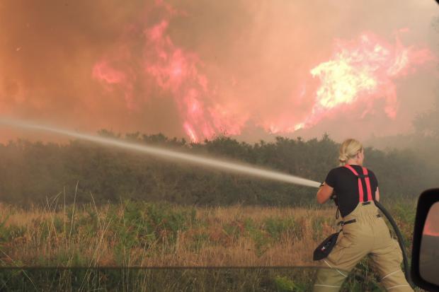 Firefighters left to tackle wildfire blaze without proper PPE, say Fire ...