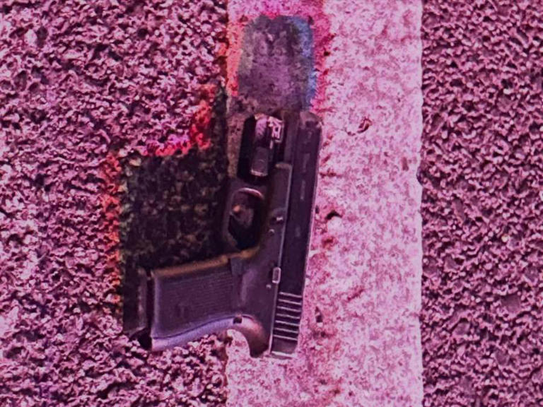 San Mateo police stop stolen Lexus with tire immobilization device