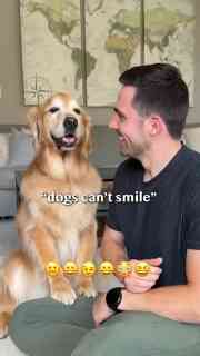 Dogs Can Smile! Here’s the Proof