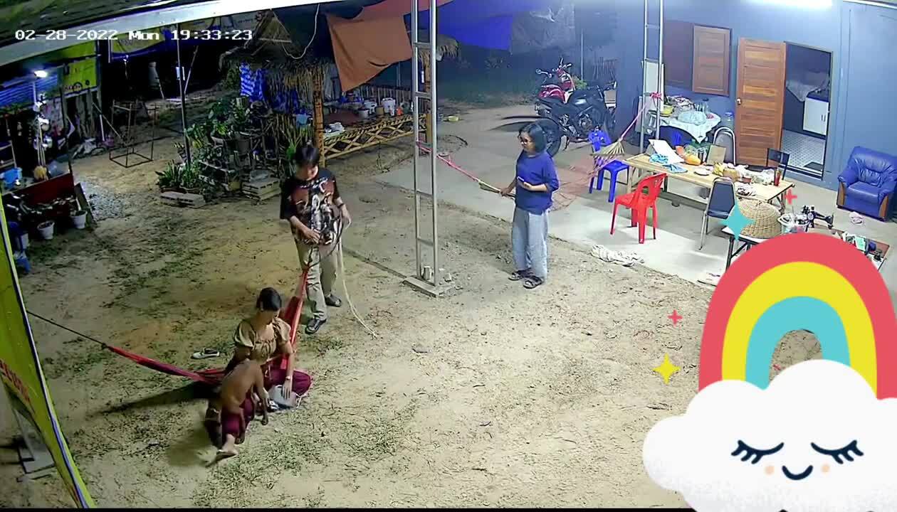 Woman Falls To Ground as Her Hammock Breaks While She is Resting in it