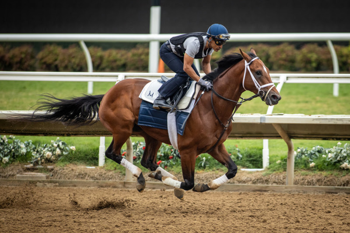 'Very Good Breeze': Journalism Gets Back To Work At Del Mar