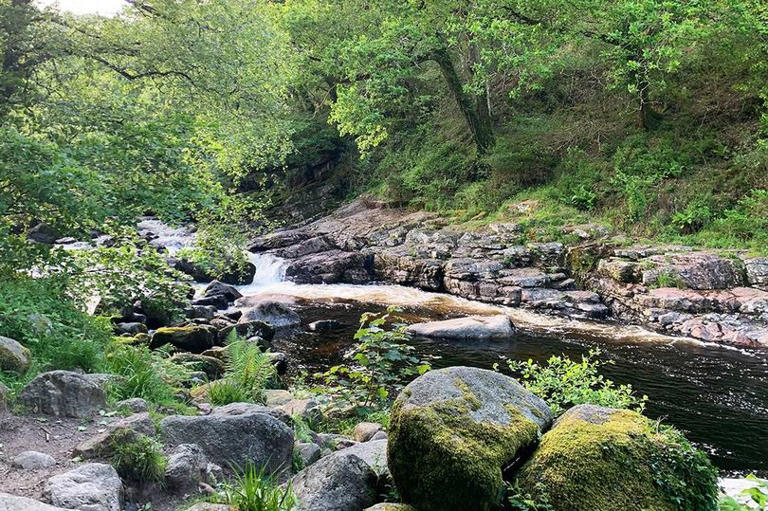 I'm a local in Devon and this is the one summer spot everyone should visit