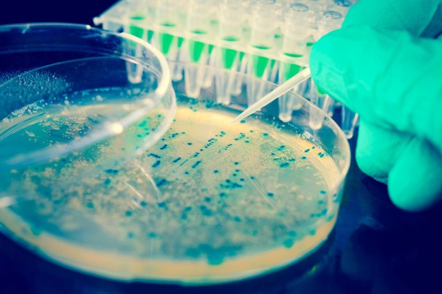 Scientists make astounding breakthrough that could help solve water ...