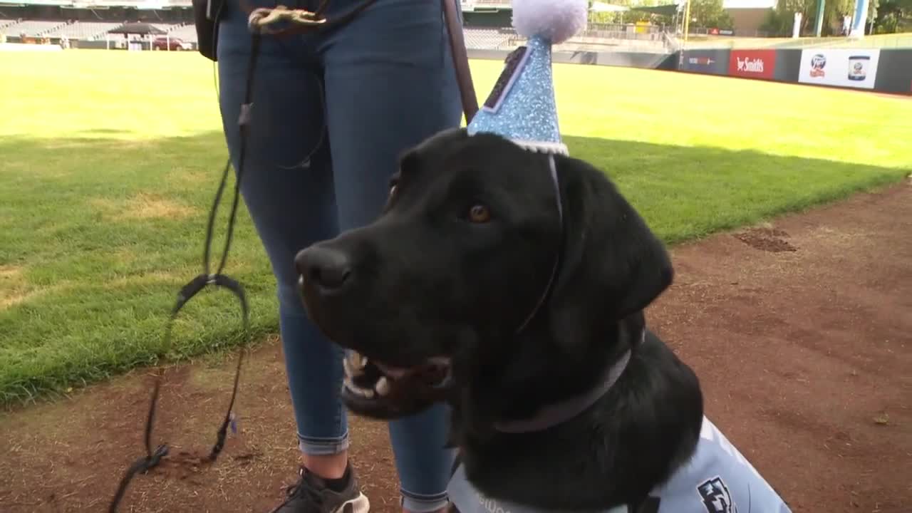 Utah Mammoth mascot Archie celebrates first birthday while training for ...