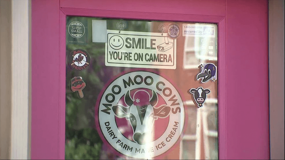 Surveillance footage captures second attack on Federal Hill's Moo Moo ...