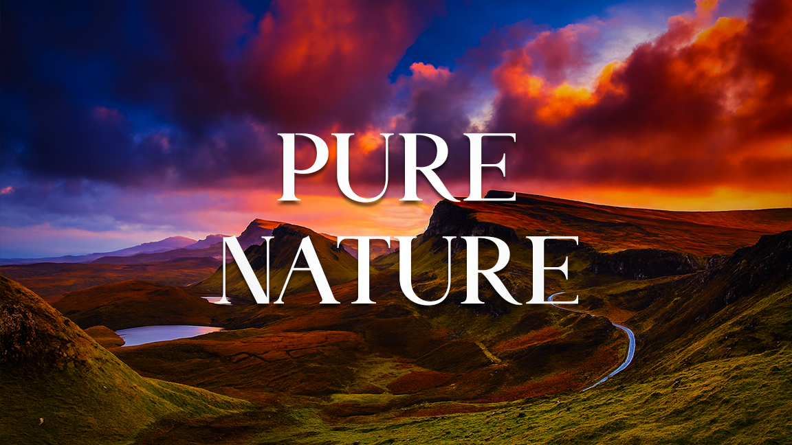 Pure Natuur in 4K – Een Rustgevende Pauze van de Drukte