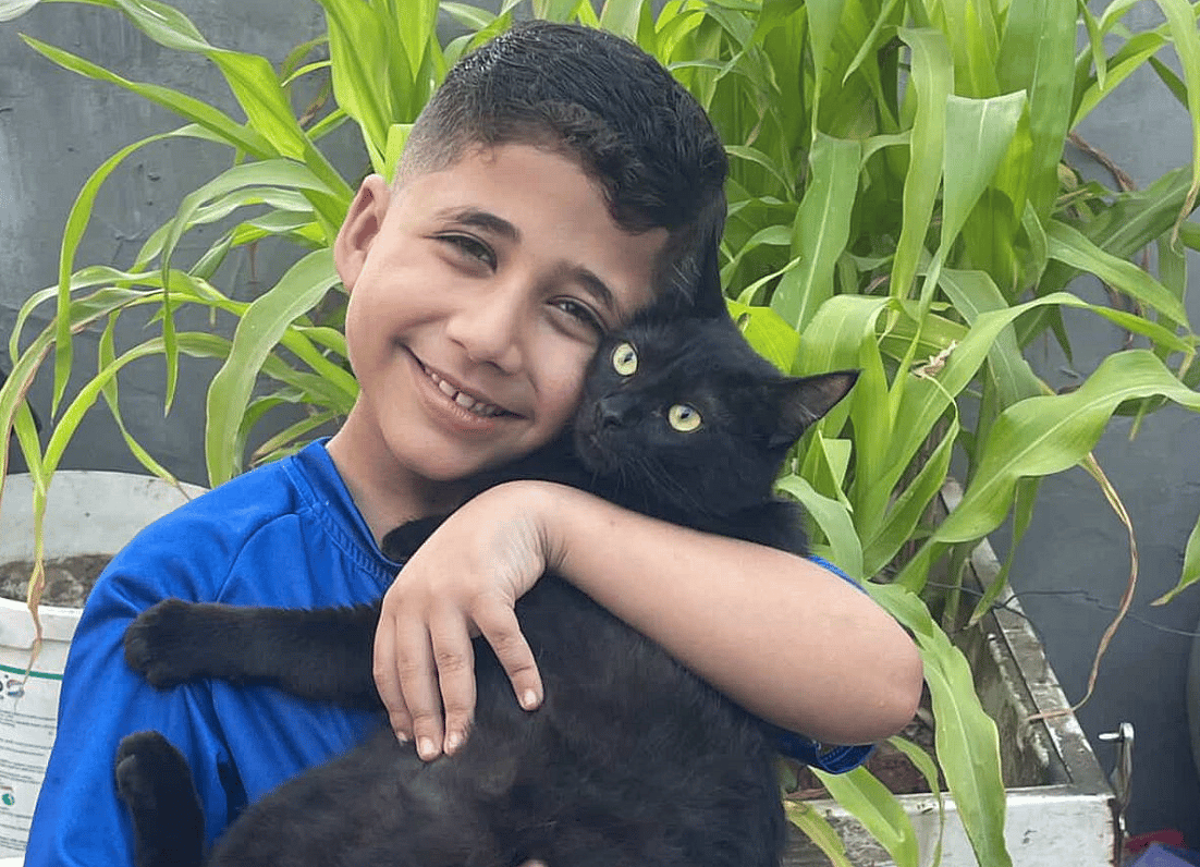 Watch: Meet 8-year-old in Gaza who rescues cats with 'nowhere to go'
