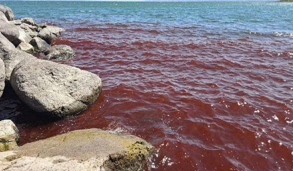 Locals panic as Sea of Galilee turns blood red in Biblical scenes