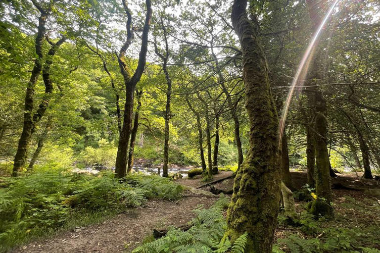 I'm a Devon local and there's one beautiful spot everyone should visit ...