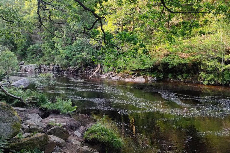 I'm a local in Devon and this is the one summer spot everyone should visit
