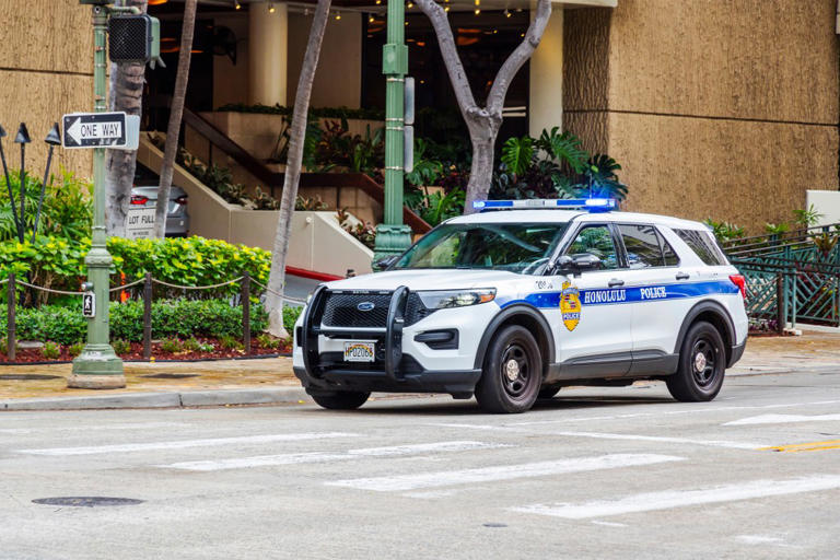 Hawaii man severely burned in heinous acid attack — and the raging ...