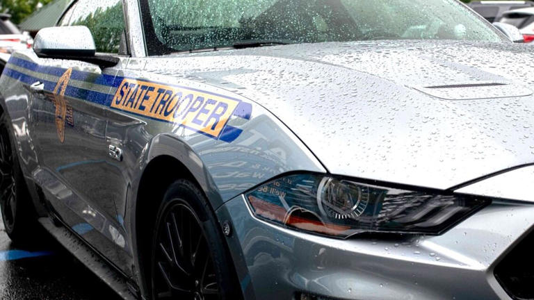 Troopers: North Charleston woman killed in crash was in car that hit tree