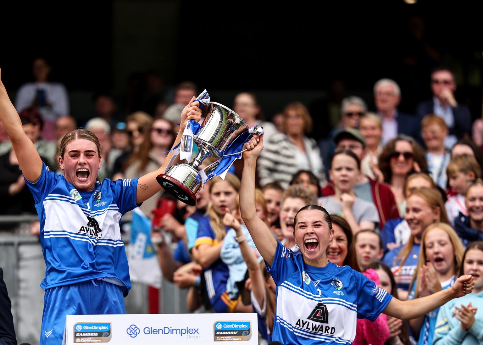 Armagh’s camogs lose out in All-Ireland junior final after strong Laois ...