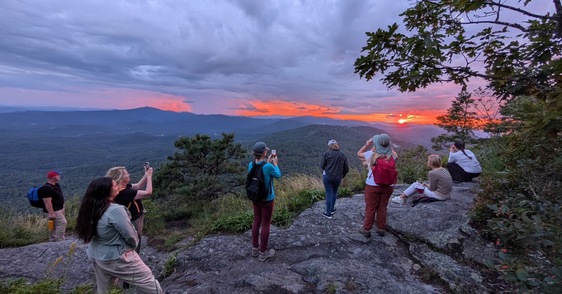 The Japanese art of 'forest bathing' can improve focus, lower stress ...