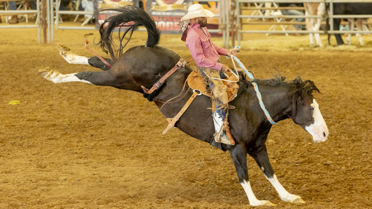 This Florida Glamping Dude Ranch Is Anything But Your Typical Campground