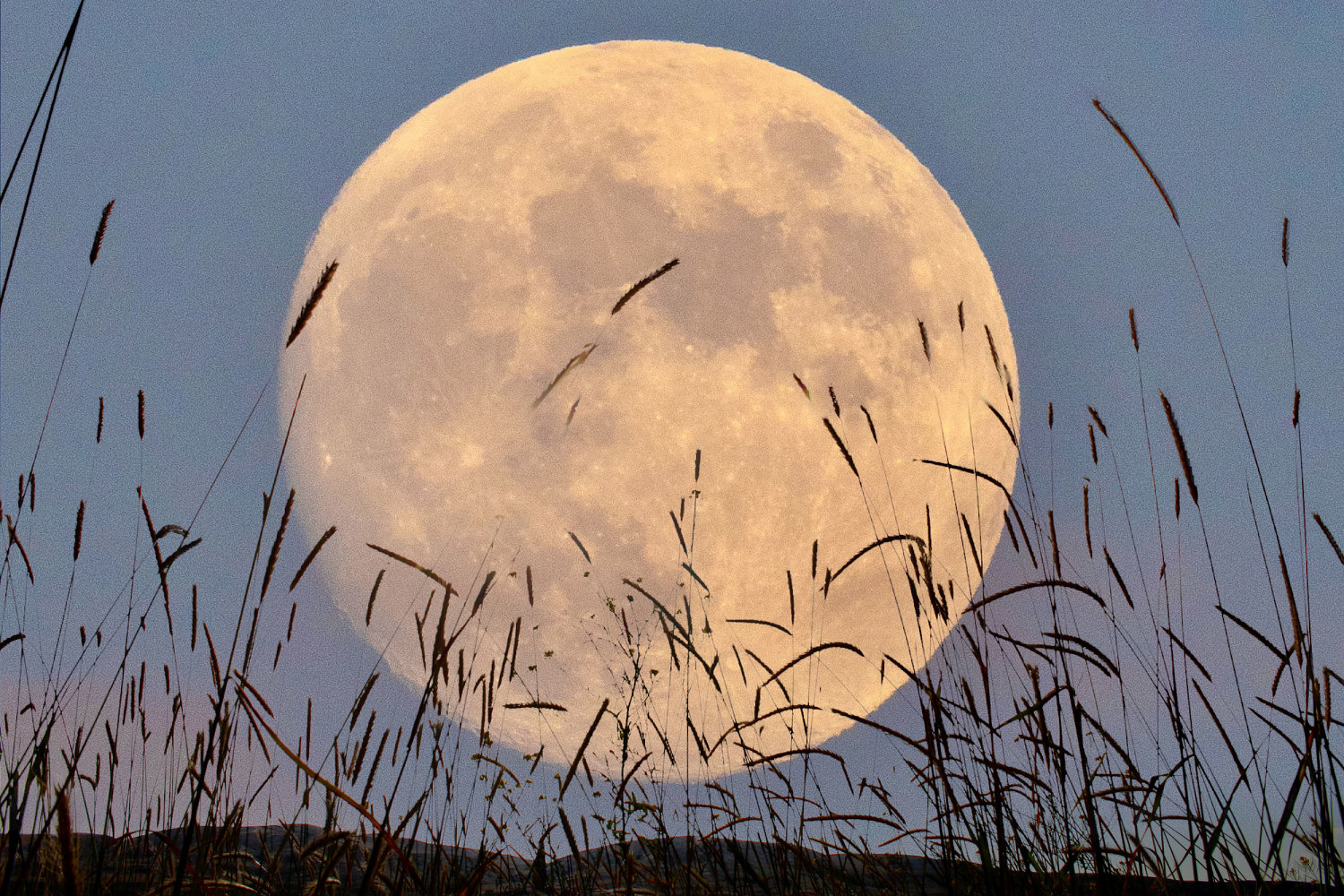 August’s Full Moon Just Happened. When Is the Next Full Moon?