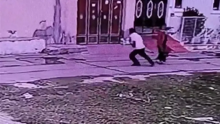 Haryana: Robbers Snatch Gold Chain Of BJP District Vice President's ...
