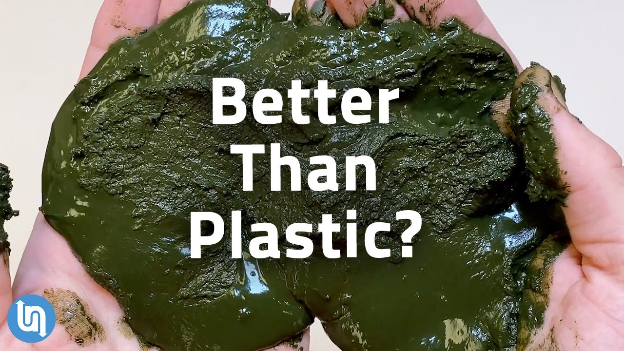 Can algae really replace plastic? Let's find out!