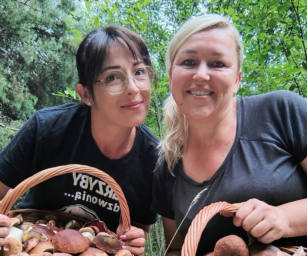 Wysyp grzybów w woj. świętokrzyskim. „Rosną jak na drożdżach”. Mamy ...