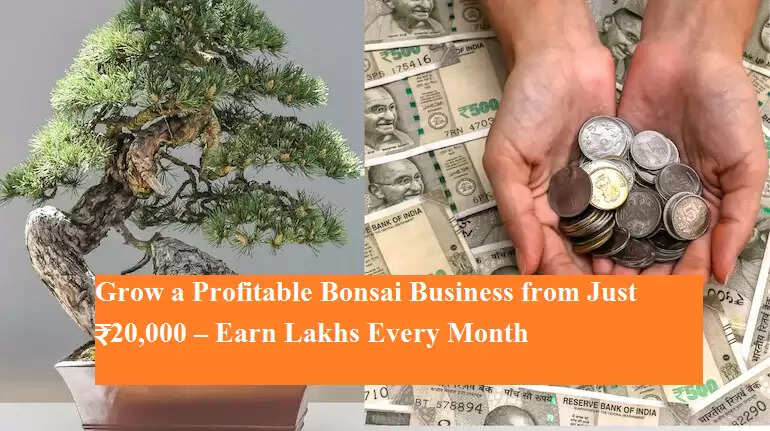 Grow a Profitable Bonsai Business from Just ₹20,000 – Earn Lakhs Every ...