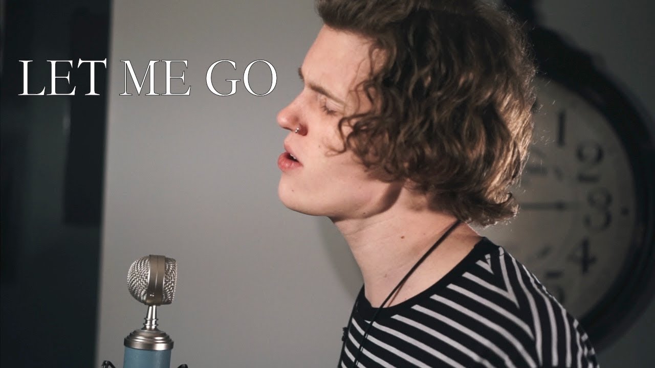 Hailee Steinfeld, Alesso - Let Me Go (Cover)
