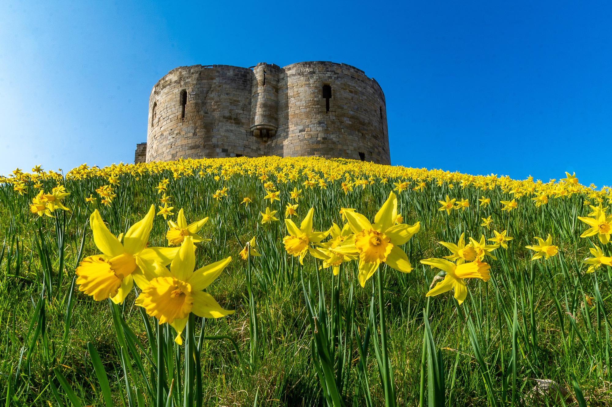 Yorkshire heatwave: Is a heatwave coming? Met Office releases update as ...
