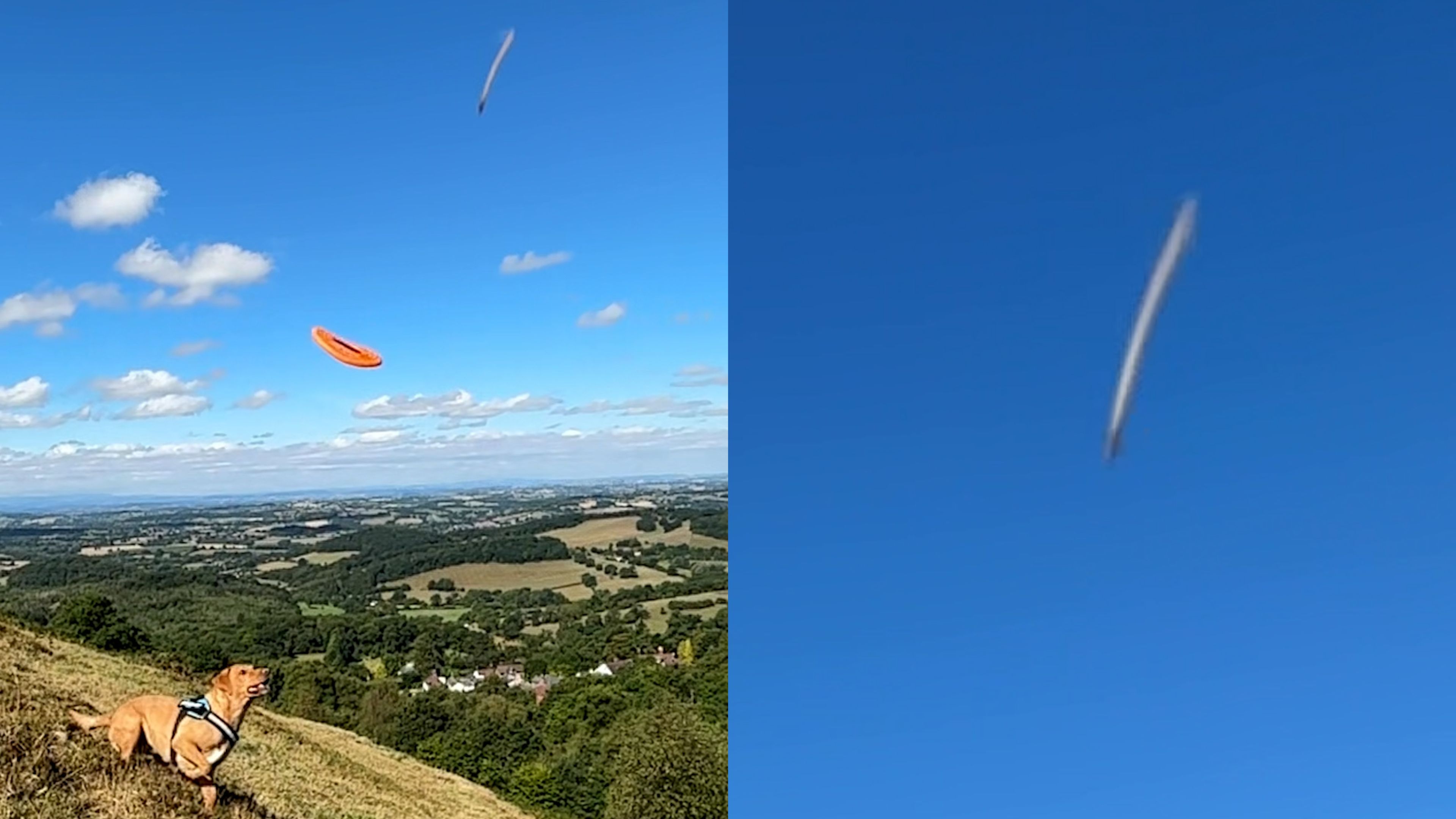Dog walker captures UFO moving faster than the eye can see