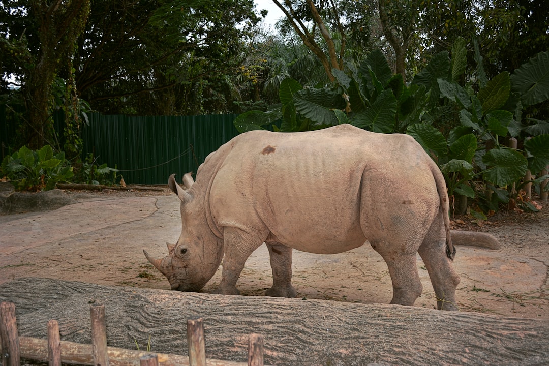 Which animals are most afraid of humans?