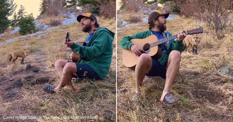 This Wild Fox Visits a Man Every Day Just to Hear Him Play the Banjo ...