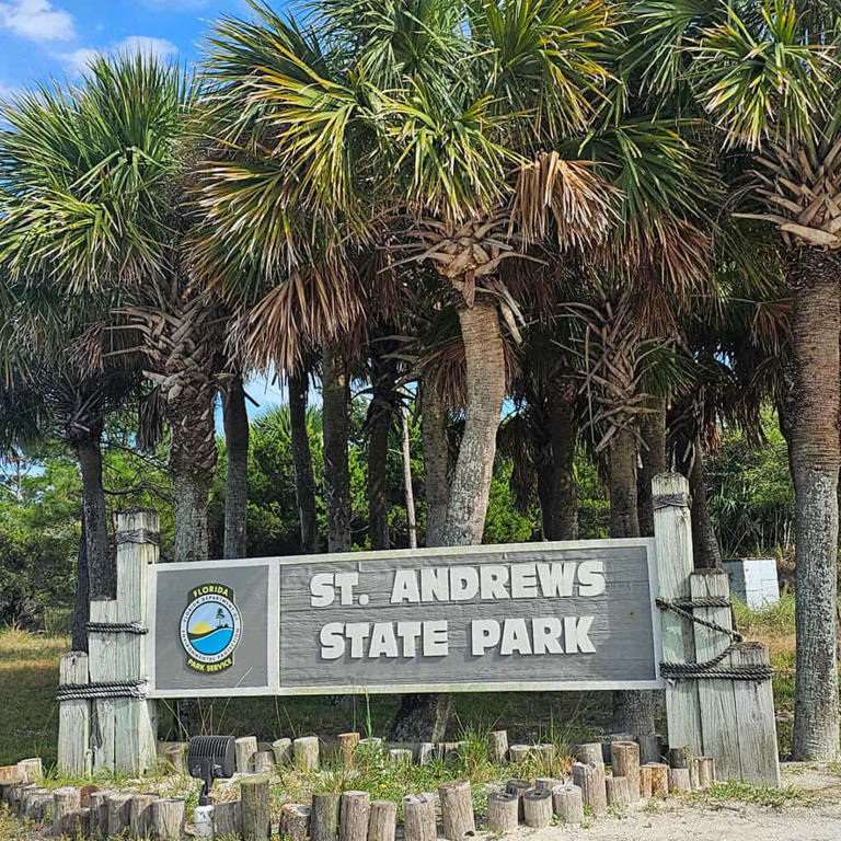 St. Andrews State Park Panama City Beach: Shell Island, dolphins, and ...